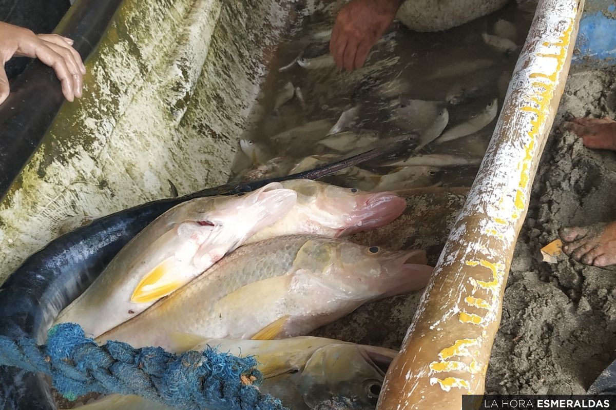 La Pesca Artesanal Un Arte Ancestral Para Esmeraldas Diario La Hora